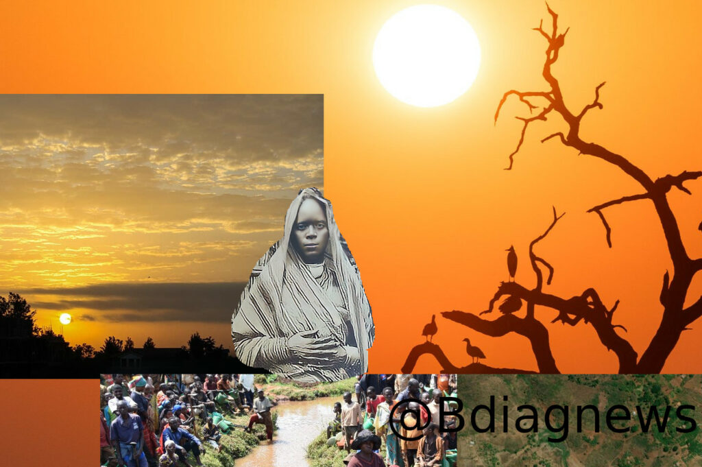 Sources : Nahimana P. , http://burundi-agnews.org, Jeudi 8 décembre 2022